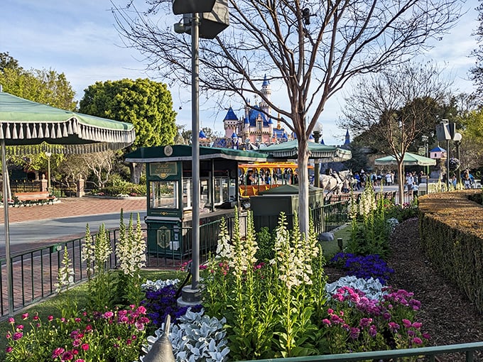 Meticulously maintained gardens frame distant turrets, proving that sometimes the journey toward magic is as beautiful as the destination.