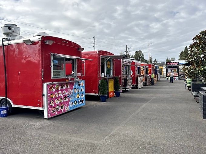 A colorful lineup of food carts awaits hungry visitors, each one promising its own unique flavor journey behind those bright red exteriors.