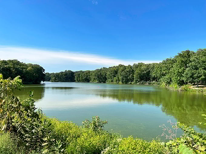Summer's green canvas stretches across Walnut Point Lake, where the trees seem to be leaning in for a better look at themselves.