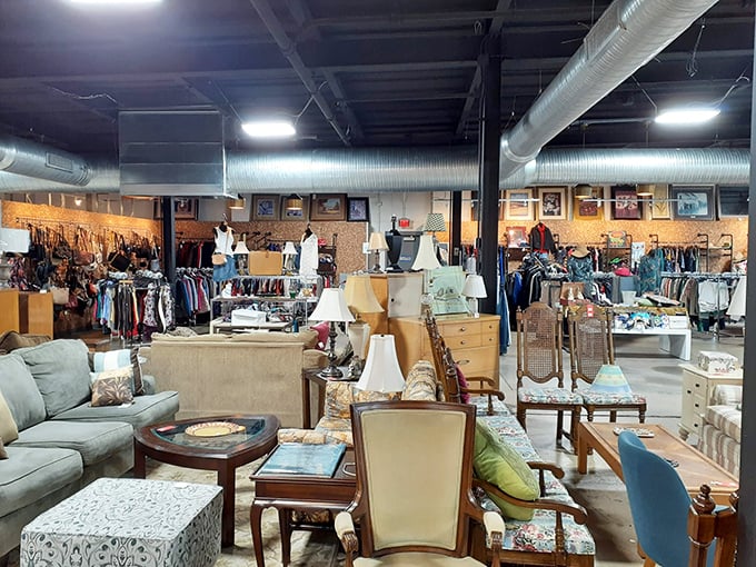 Furniture finds that would make any interior designer swoon—mid-century meets modern in this carefully curated corner of affordable luxury.