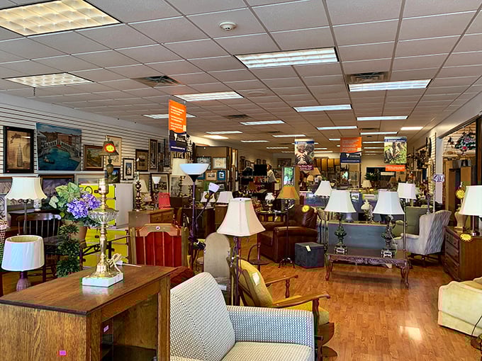 The furniture section resembles a living room museum where vintage sofas and wooden treasures patiently wait for adoption.