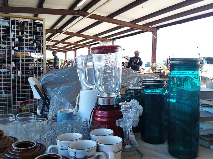 Kitchen nostalgia on full display—from vintage blenders to forgotten coffee mugs. Someone's grandmother's favorite pitcher awaits its next chapter.