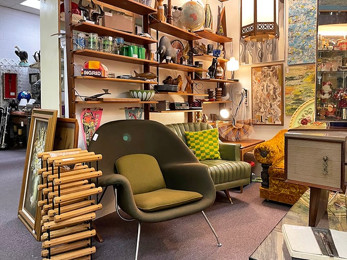 Mid-century modern meets contemporary cool in this furniture vignette. That avocado chair isn't just sitting there—it's waiting to tell stories.