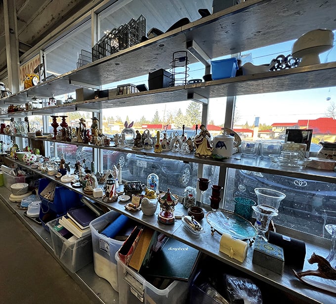 The knickknack shelves – where someone's "what was I thinking?" becomes your "I can't believe I found this!" Sunlight streams in, illuminating porcelain treasures.