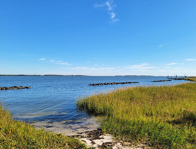 Where the Indian River Bay sparkles like scattered diamonds under Delaware's generous sunshine.