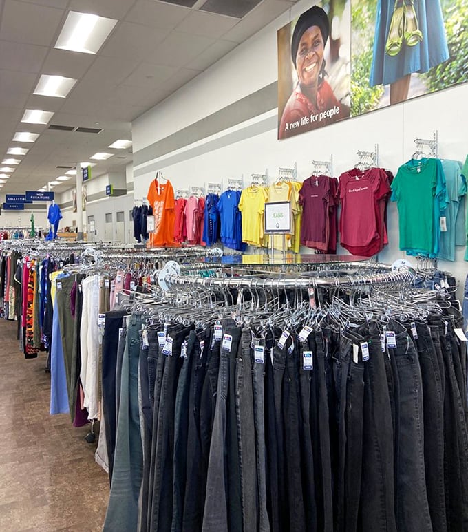 The denim rainbow—where yesterday's fashion finds tomorrow's enthusiast. One person's "so last season" is another's "vintage find."