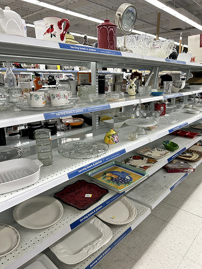 Crystal bowls, vintage teacups, and decorative plates—each shelf tells the story of dinner parties past and the ones you're about to host.