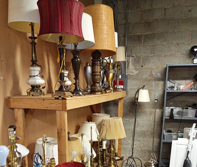 The lamp section rivals any lighting showroom, minus the sticker shock. That burgundy lampshade is practically begging to cast a warm glow in someone's reading nook.