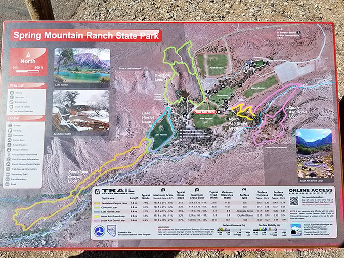 Maps don't just prevent arguments in the car—they reveal hidden treasures like Lake Harriet and trails that meander through geological wonders.
