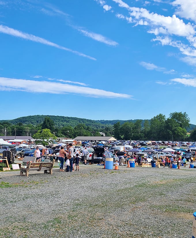 A sea of possibility stretches before you—vendors, shoppers, and treasures all mingling under Pennsylvania's blue skies and rolling hills.