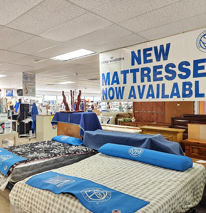 Who knew paradise could be so affordable? New mattresses await the sleep-deprived bargain hunter—no princess-and-pea drama required.