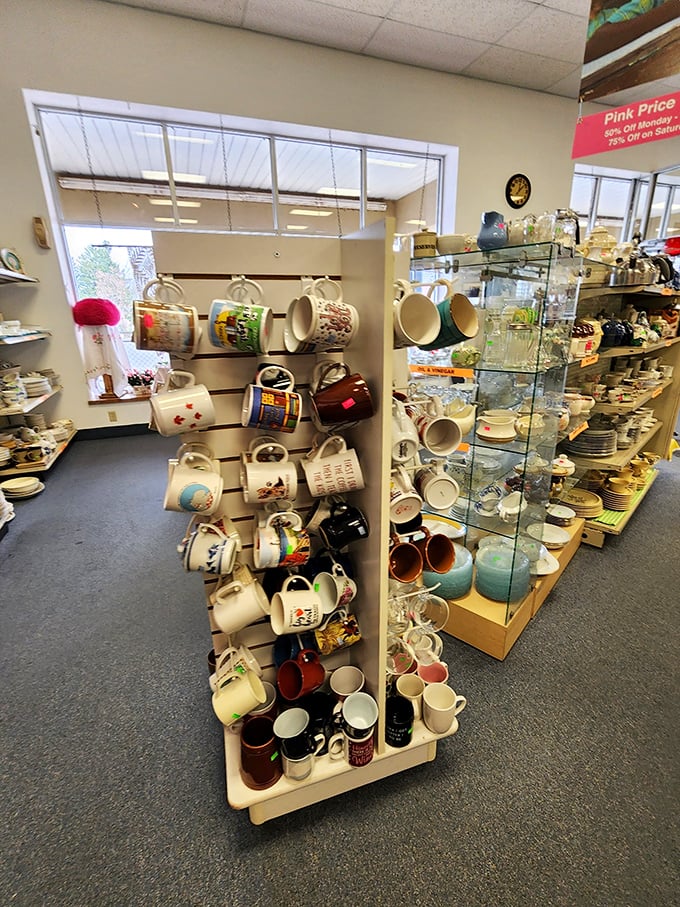 The mug wall – where coffee vessels come to find their forever homes. Each one tells a story, and somehow you'll leave convinced you need three more.