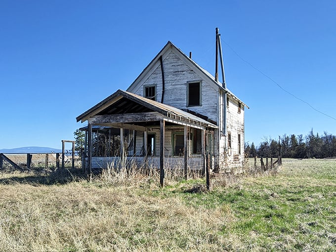 If walls could talk, this weathered homestead would share tales of frontier life long before Instagram made remote living trendy.