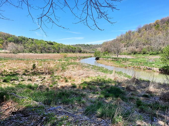 Former lakebed transformed into a peaceful meadow where Dunkard Fork Creek meanders through. Nature's version of an extreme home makeover—and it works!