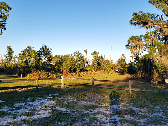 Nature's front porch – where wooden fences and information boards serve as the understated gateway to ancient Florida ecosystems.