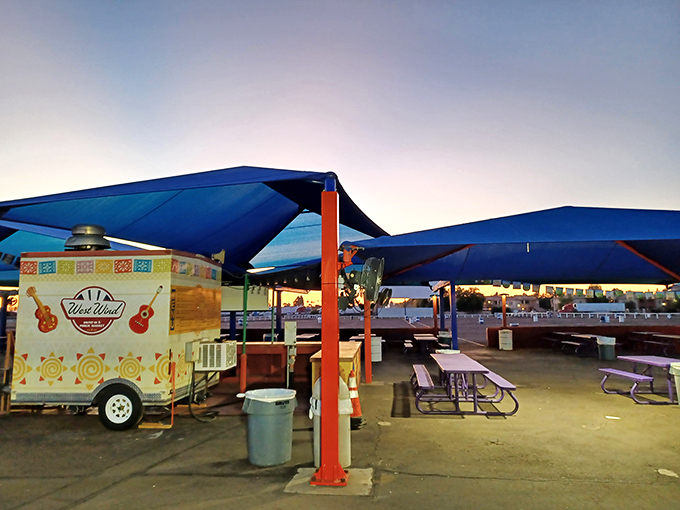 Picnic tables wait patiently under shade structures – because sometimes you need solid ground for serious snack preparation.