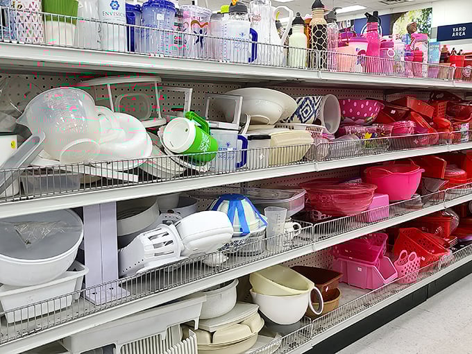 Kitchen gadgets from every era line these shelves—yesterday's must-haves waiting for tomorrow's creative cooks.