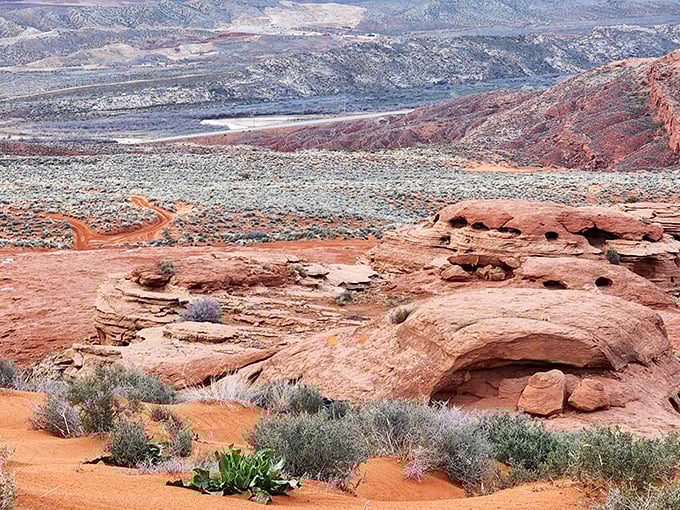 Nature's playground stretches to the horizon. Those red rocks didn't just happen—they've been perfecting their pose for millions of years.