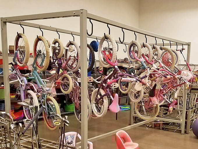 A bicycle menagerie awaits young riders—each with its own history and ready for new adventures. Childhood nostalgia hanging by the handlebars.