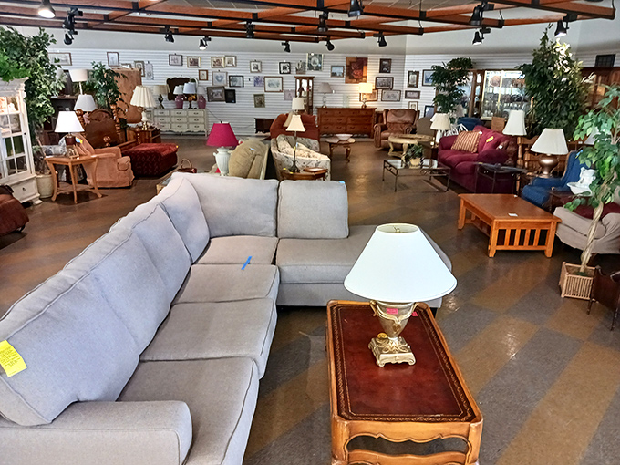 The furniture section could furnish an entire neighborhood. That blue sectional is practically begging for a Netflix marathon.