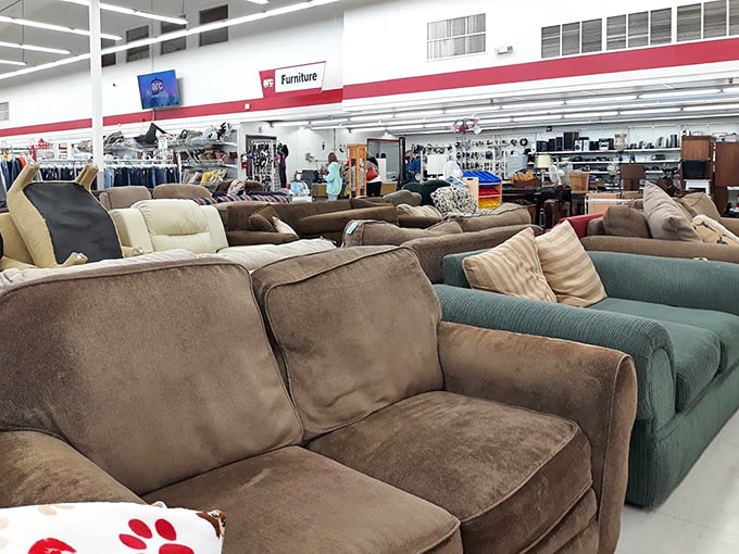The sofa section resembles a living room convention, where couches of all personalities gather to find their forever homes.