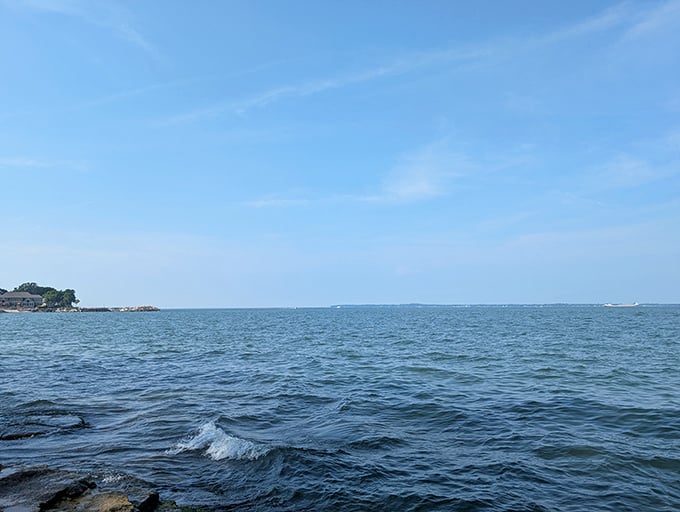Lake Erie in her most photogenic mood—calm, blue, and stretching to infinity. No filter needed for this natural masterpiece.