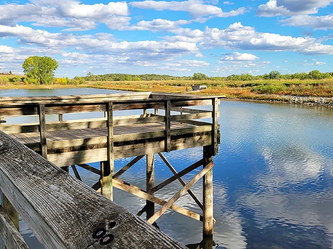 The mighty Platte River stretches toward the horizon like nature's highway, complete with sandbars that serve as rest stops for migrating birds.