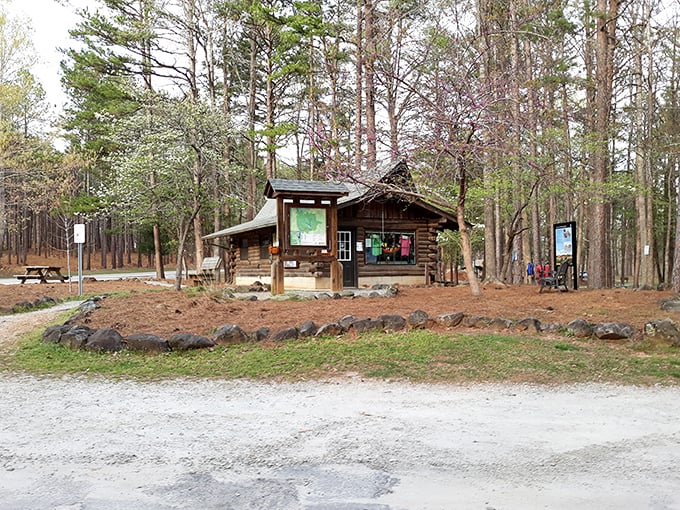 This rustic visitor center isn't just charming—it's where adventures begin and cell phone addiction ends. At least temporarily.