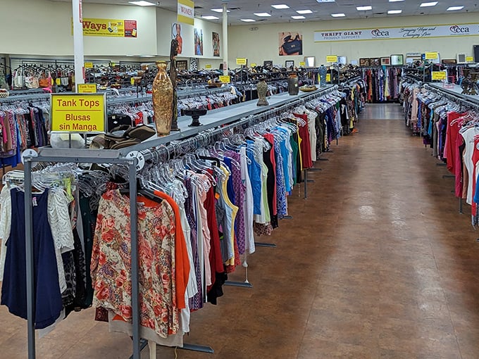 When clothing racks form perfectly organized rows like this, angels somewhere are getting their wings and shoppers are getting their deals.