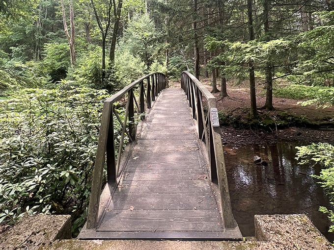This footbridge doesn't just connect two pieces of land—it connects you to the childhood wonder you thought was lost in your inbox somewhere.