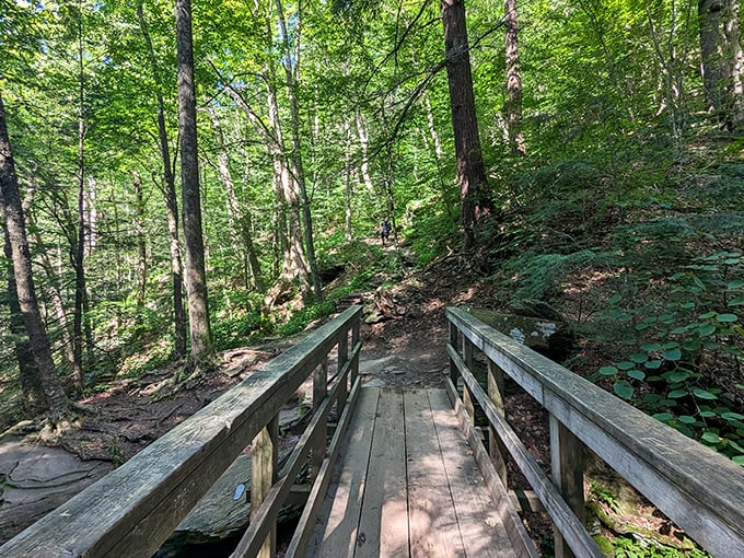 Crossing this bridge feels like stepping into a fairy tale. The forest practically whispers secrets as you venture deeper into its embrace.