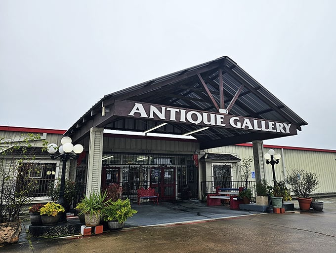 Welcome to Spring's antique cathedral, where rustic charm meets serious treasure hunting under one magnificent roof structure.