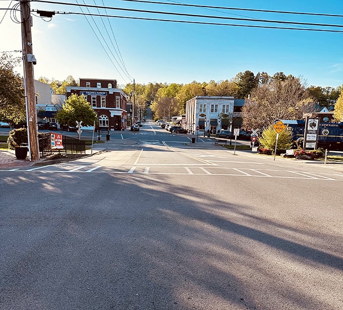 Blue Ridge's main drag—where the Cohatta Lodge stands sentinel and every storefront tells a story longer than your grandmother's Sunday phone calls.