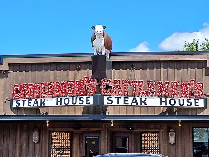 That rooftop cow has become Fort Worth's most famous dinner guest, silently advertising the beef magic below.