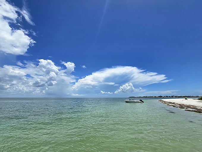 Cayo Costa's pristine shoreline – where "getting away from it all" isn't just a saying, it's a geographical fact.