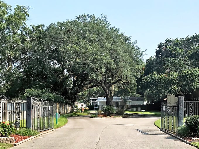 Century Oaks welcomes you with the grandeur of those magnificent trees. Nature's retirement plan includes shade and Southern charm.