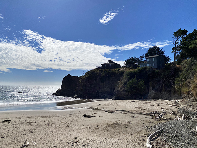 Cooks Beach nestles between dramatic cliffs like nature's perfect hammock. A pocket-sized paradise waiting for your beach blanket.