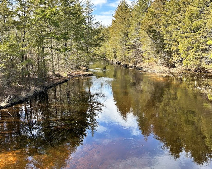 Cedar Creek winds through Double Trouble like a liquid highway through Pine Barrens paradise.