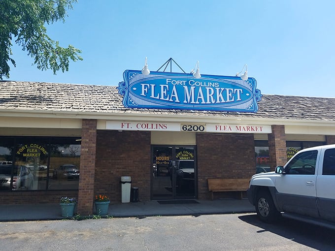 Fort Collins knows presentation matters—that blue sign promises treasures inside this unassuming brick building that delivers big time.