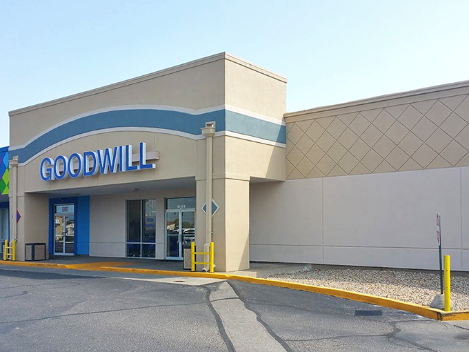 Goodwill's blue signage—like a beacon for bargain hunters navigating the sea of retail sameness.