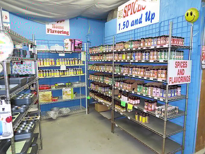 Inside this wonderland, spice racks tower like aromatic skyscrapers waiting to flavor your world.