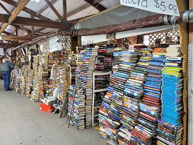 Towering stacks of literary treasures at Hudson's Surfside Flea Market. Book lovers beware—you might need a bigger bookshelf after this visit!