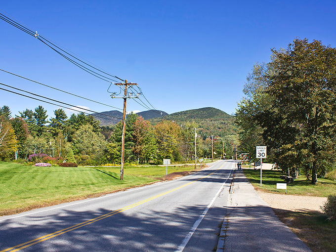 Jackson's mountain-framed streets create the perfect postcard scene, where every view deserves its own Instagram moment.