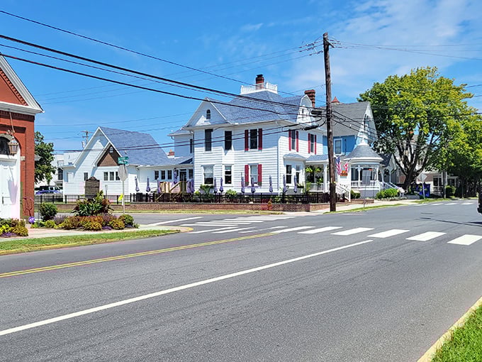 Those white colonial houses along Lewes streets whisper stories of sea captains and simpler times.