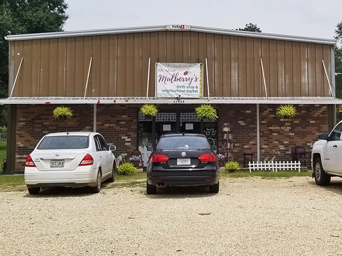 Ms. Madi Mulberry's rustic charm beckons from the roadside, promising a thrifting experience as unique as its name.