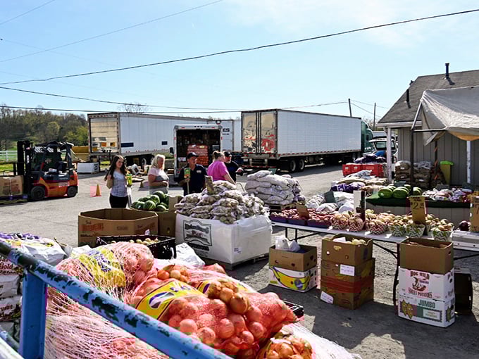 Fresh produce meets flea market magic where vegetables are as exciting as vintage finds.
