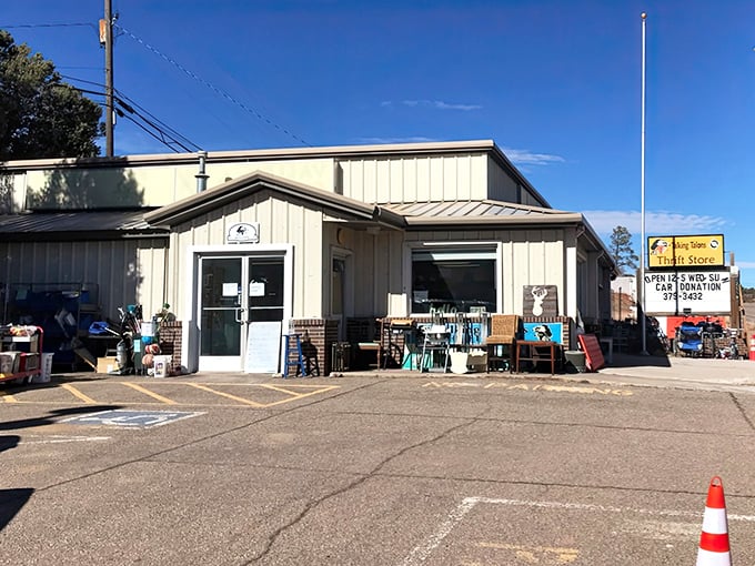 Don't let the humble exterior fool you—this thrift shop funds wildlife education while filling your home with bargains that would make even Marie Kondo spark with joy.