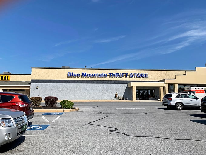 Sometimes the best adventures come in unassuming packages - like this suburban thrift store goldmine.