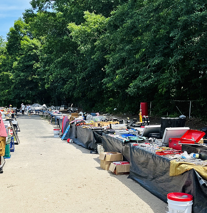 Rows of outdoor vendors create a treasure hunter's paradise under the open New Jersey sky.