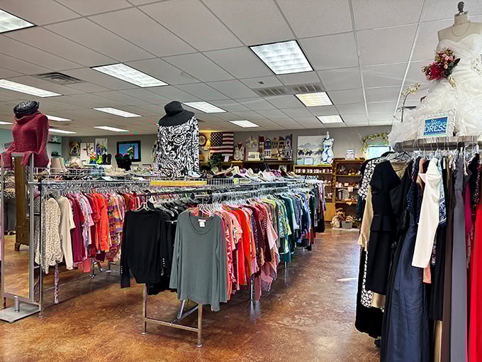 Inside, organized racks create a shopping paradise where everything has its proper, sensible place.